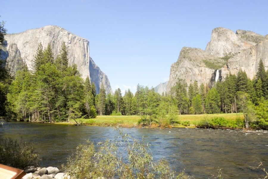 From Lake Tahoe: Yosemite National Park Day Trip with Lunch - Authentic Feedback and What It Tells Us
