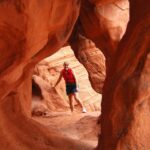 From Las Vegas: Valley of Fire Tour - Exploring the Valley of Fire: What to Expect