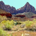 From Las Vegas: VIP Small-Group Zion National Park Adventure - What Makes This Tour Stand Out?