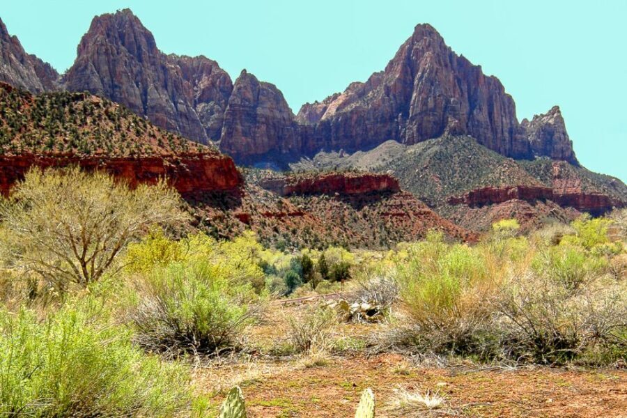 From Las Vegas: VIP Small-Group Zion National Park Adventure - What Makes This Tour Stand Out?