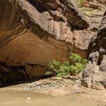 From Las Vegas: Zion National Park Small Group Adventure - What’s Included and What’s Not