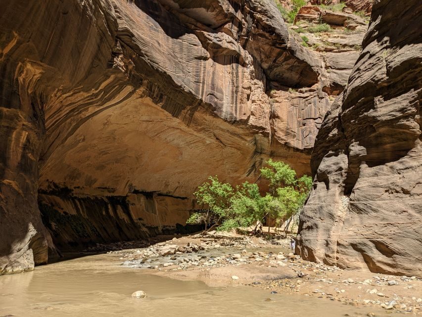 From Las Vegas: Zion National Park Small Group Adventure - What’s Included and What’s Not