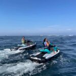 From Long Beach: Jet Ski to Two Harbors on Catalina Island - Pricing and Value
