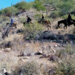 From Loreto: Baja Desert Horseback Riding Tour - The Itinerary and What to Expect