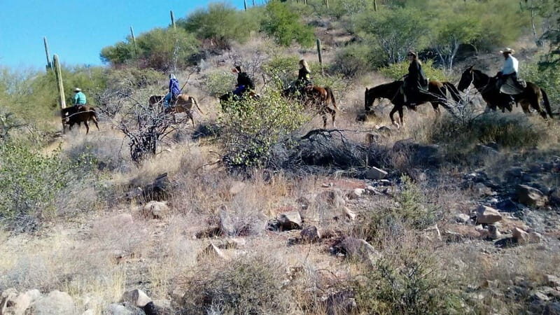 From Loreto: Baja Desert Horseback Riding Tour - The Itinerary and What to Expect