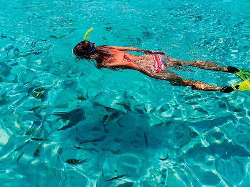 From Loreto: Coronado Island Snorkel - Valuing the Experience