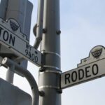 From Los Angeles: Full Day L.A Suburbs and Attractions tour - Deep Dive: The Practical Side of the Tour