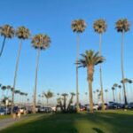 From Los Angeles Full Day Private Orange County Beach Cities Tour - Authentic Insights from Reviews