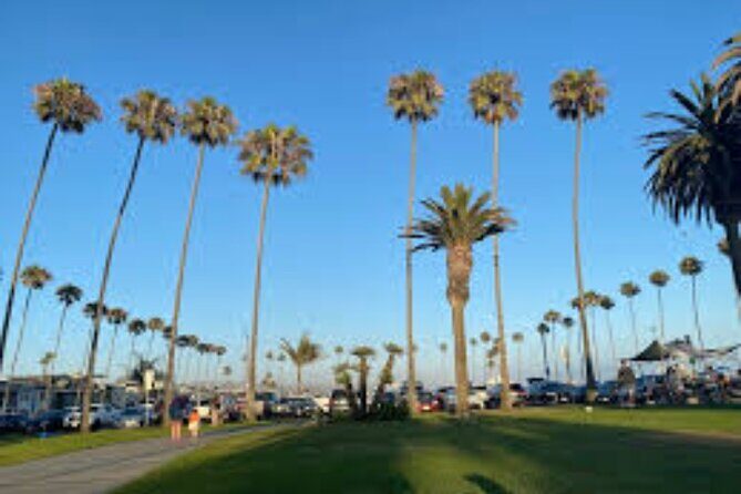 From Los Angeles Full Day Private Orange County Beach Cities Tour - Authentic Insights from Reviews