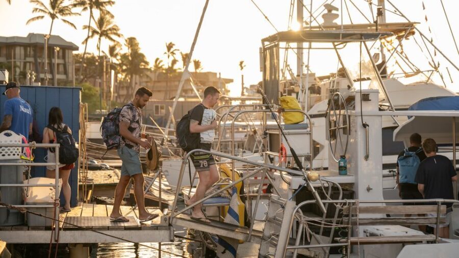From Ma'alaea: Afternoon Whale Watch Tour Aboard the Malolo - The Value of This Tour