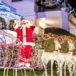 From Manhattan: Dyker Heights Holiday Bus Tour - The Experience’s Value: Is It Worth It?
