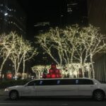 From Manhattan: Private Brooklyn Christmas Tour by Limousine - A Closer Look at the Brooklyn Christmas Lights Tour