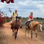 From Mazatlan: ATV & Horse Back riding with Tequila Tasting - ATV Riding: Beach, Jungle, and Streams