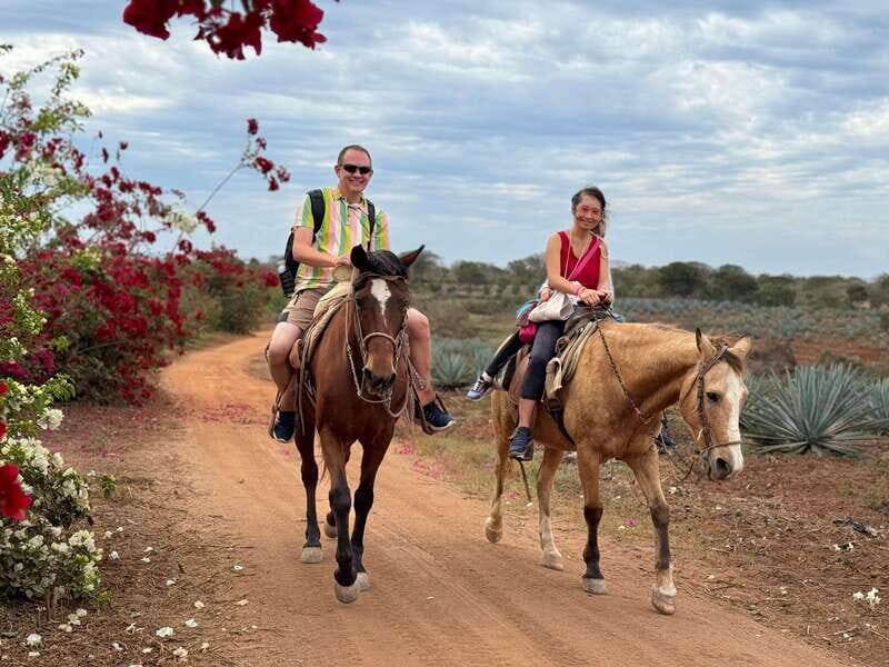 From Mazatlan: ATV & Horse Back riding with Tequila Tasting - ATV Riding: Beach, Jungle, and Streams