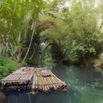 From Merida: Beach, Mangrove and something more - Breaking Down the Itinerary