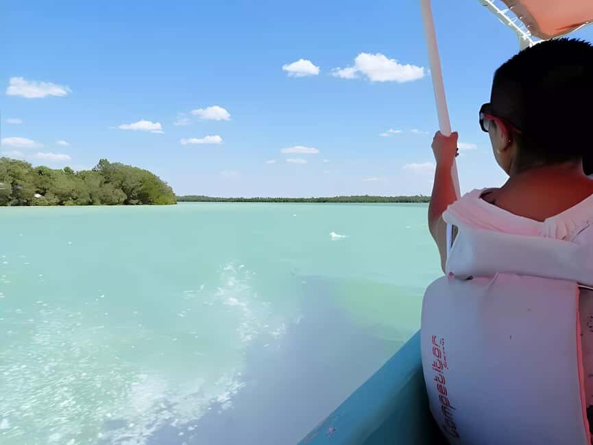 From Merida: Celestun, flamingos and beach - Introduction: Why This Tour Might Be a Great Choice for Your Yucatán Adventure