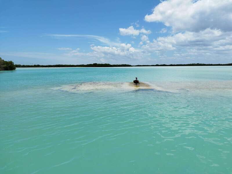 From Merida: Isla Columpios & Progreso - What Makes the Tour Special