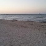 From Mérida: Mayan Dzibilchaltún & Progreso Beach Tour - Is This Tour Right for You?