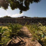 From Merida: Uxmal, Hacienda Yaxcopoil and Cenote with Lunch - Practicalities and Transportation