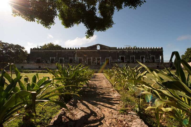 From Merida: Uxmal, Hacienda Yaxcopoil and Cenote with Lunch - Practicalities and Transportation