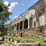From Mérida: Visit an emblematic hacienda, enjoy its cenote - Swimming in Cenotes: Natural Wonders with a Royal Touch