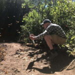 From Mexico City: 7-Day Monarch Butterfly Tour - The Experience in Perspective