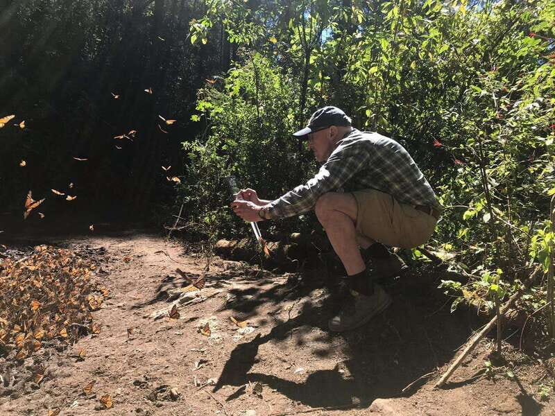 From Mexico City: 7-Day Monarch Butterfly Tour - The Experience in Perspective