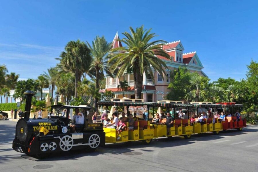 From Miami - Enchanting Key West Tour in a Small Group. - The Realities and the Review Feedback