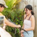 From Miami: Everglades Airboat, Wildlife Show & Bus Transfer - The Value of This Tour