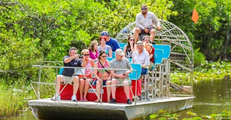 From Miami: Everglades Wildlife Show, Airboat & Bus Transfer - What We Think About the Experience