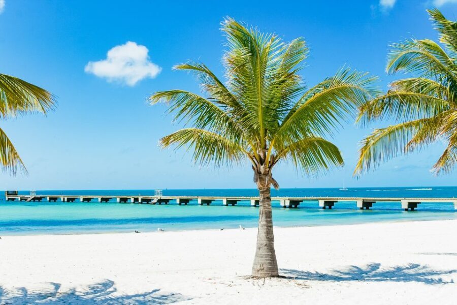 From Miami: Key West Day Trip - Authentic Reviews: What Travelers Are Saying