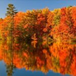 From Montréal: Mont-Tremblant 1-Day Tour - Evaluating the Value
