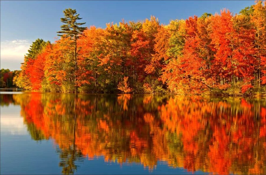 From Montréal: Mont-Tremblant 1-Day Tour - Evaluating the Value