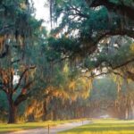 From Myrtle Beach: Charleston Day Trip, Boone Hall & Cruise - What to Expect on the Day