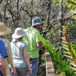 From Naples: 10,000 Islands Boat Trip & Everglades Walk! - Practical Details and What to Keep in Mind