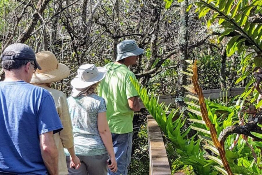 From Naples: 10,000 Islands Boat Trip & Everglades Walk! - Practical Details and What to Keep in Mind