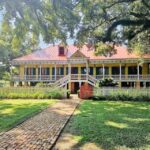 From New Orleans: Oak Alley or Laura Plantation Tour - Real Traveler Insights