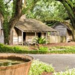 From New Orleans: Oak Alley Plantation Tour - Practical Details and Value