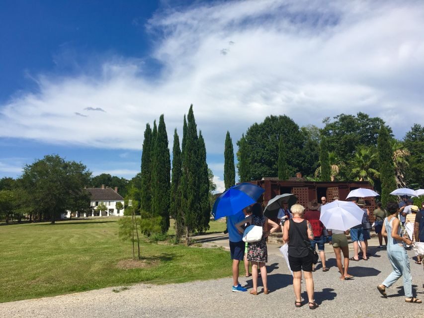 From New Orleans: Whitney and Laura Guided Plantation Tour - What You Get for the Price