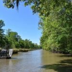 From New Orleans: Whitney Plantation and Airboat Tour Combo - What’s Included and What’s Not