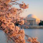 From New York: New Haven, Rhode Island and Boston 2-Day Trip - What You’ll Love About This Tour