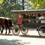 From NYC: Day Trip to Philadelphia and Amish Country - What Travelers Are Saying