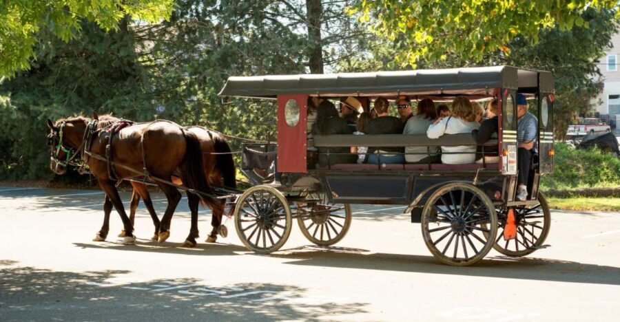 From NYC: Day Trip to Philadelphia and Amish Country - What Travelers Are Saying