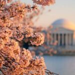 From NYC: Niagara Falls, Washington DC and Boston 4-Day Trip - A Closer Look at the Value