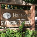 From Oahu: Kauai Waimea Canyon and Koke'e Adventure Tour - The Value of This Tour