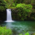 From Oahu: Maui Road to Hana Sightseeing Tour - Transportation and Logistics — What to Expect