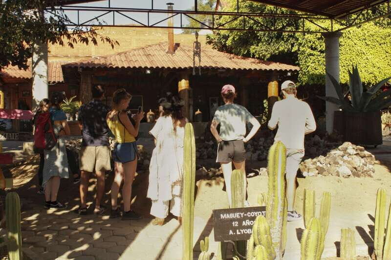 From Oaxaca de Juarez: Hierve el Agua and Mezcal Distillery - The Mezcal Experience: Sipping Oaxaca’s Spirit