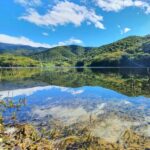 From Oaxaca: MTB Guided Bike Tour, Tule Tree & Lake Half-Day - In-Depth Breakdown of the Tour