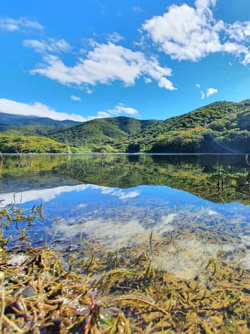 From Oaxaca: MTB Guided Bike Tour, Tule Tree & Lake Half-Day - In-Depth Breakdown of the Tour