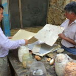 From Oaxaca: San Agustín Etla Quesillo and Papermaking Tour - The Practical Details